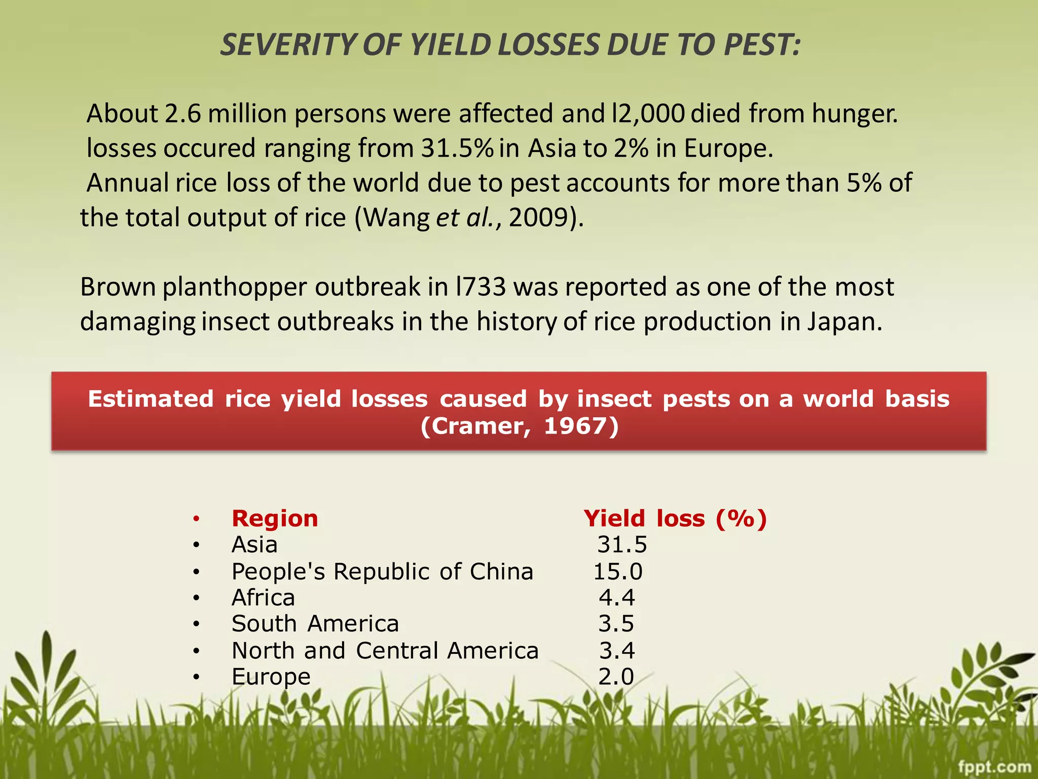 Breeding for Major Insect Pests Resistance in Rice | PDF