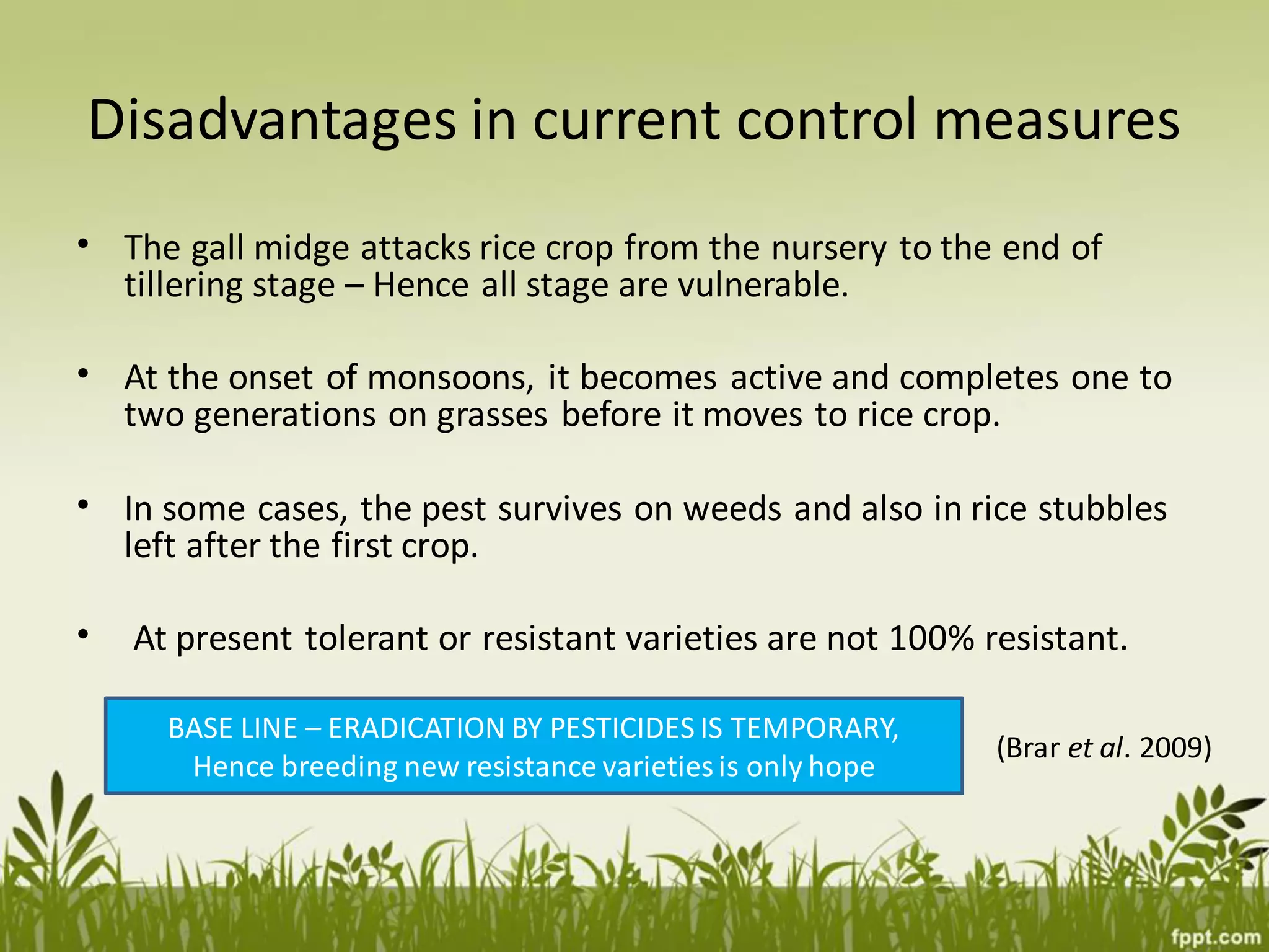 Breeding for Major Insect Pests Resistance in Rice | PDF