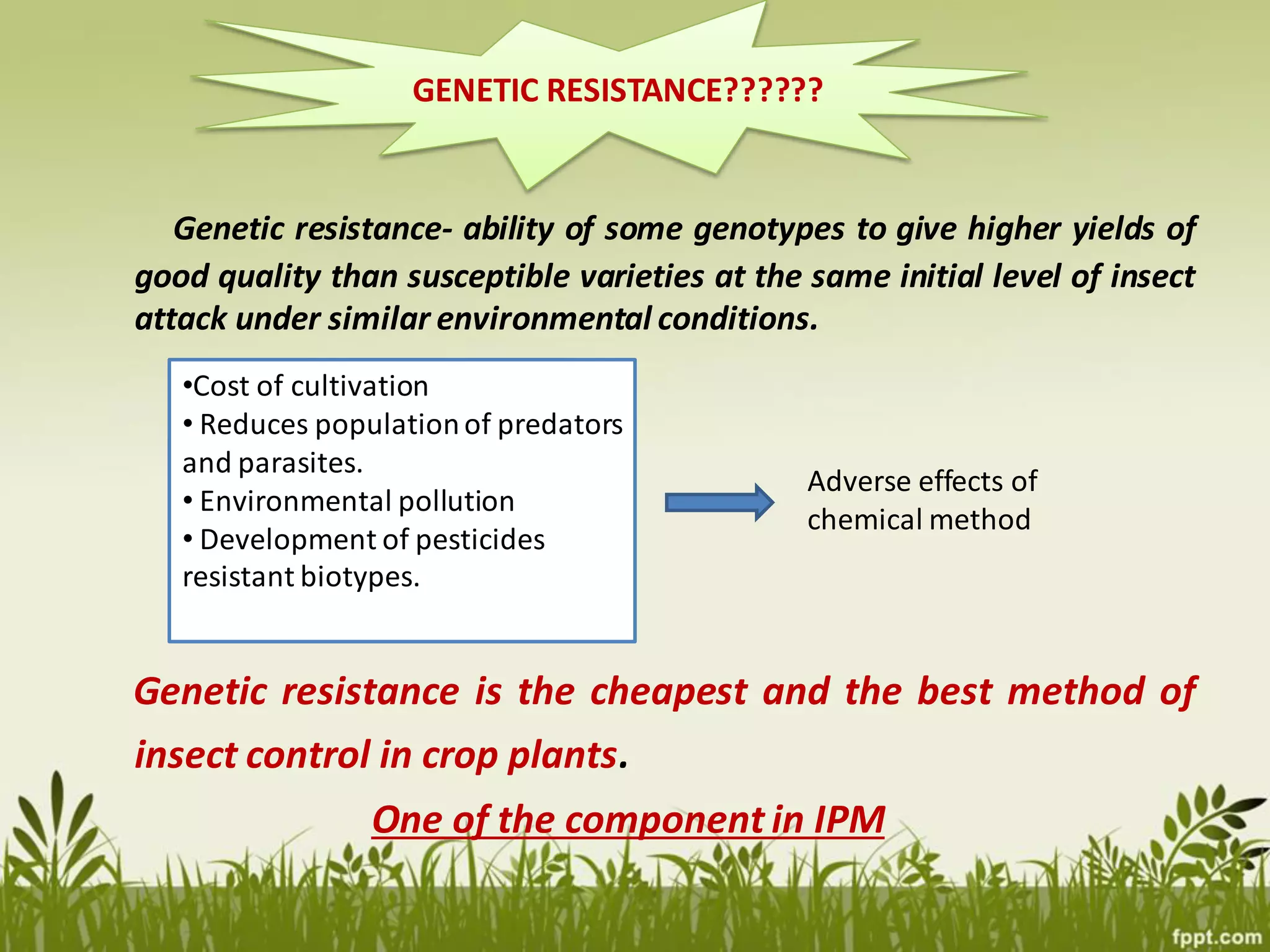 Breeding for Major Insect Pests Resistance in Rice | PDF