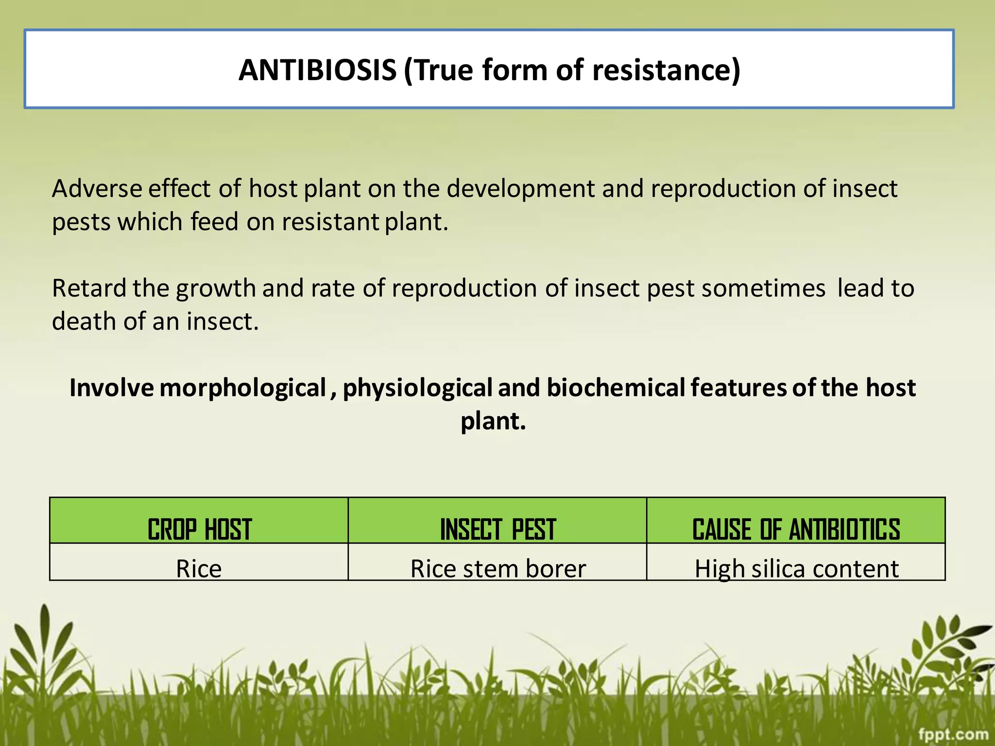 Breeding for Major Insect Pests Resistance in Rice | PDF