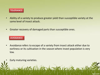 Breeding for Major Insect Pests Resistance in Rice | PDF