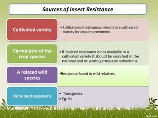 Breeding for Major Insect Pests Resistance in Rice | PDF