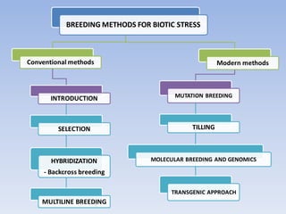 Breeding for Major Insect Pests Resistance in Rice | PDF