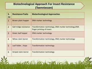 Breeding for Major Insect Pests Resistance in Rice | PDF