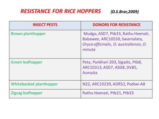 Breeding for Major Insect Pests Resistance in Rice | PDF