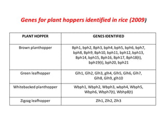 Breeding for Major Insect Pests Resistance in Rice | PDF