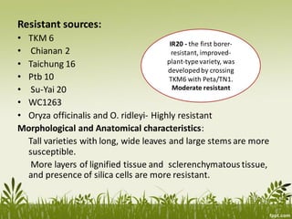 Breeding for Major Insect Pests Resistance in Rice | PDF