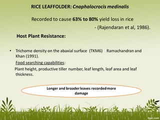 Breeding for Major Insect Pests Resistance in Rice | PDF