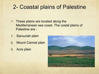 Major plains in the arab world | PPTX