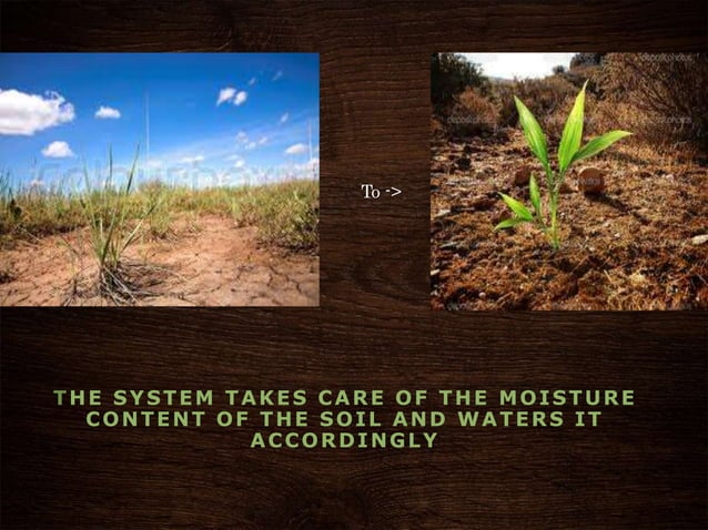 Automated water planting system | PPTX | Gardening | Home & Garden