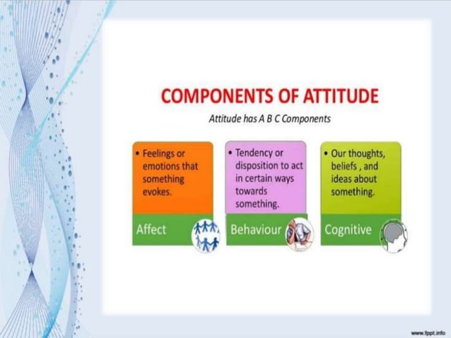 Measuring Language Attitude | PPTX