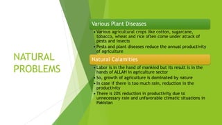 Major problems in agriculture | PPT