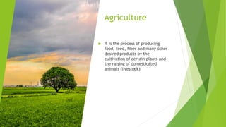 Major problems in agriculture | PPTX