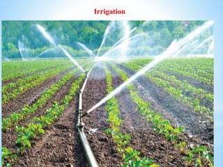 Major problems in agriculture | PPTX