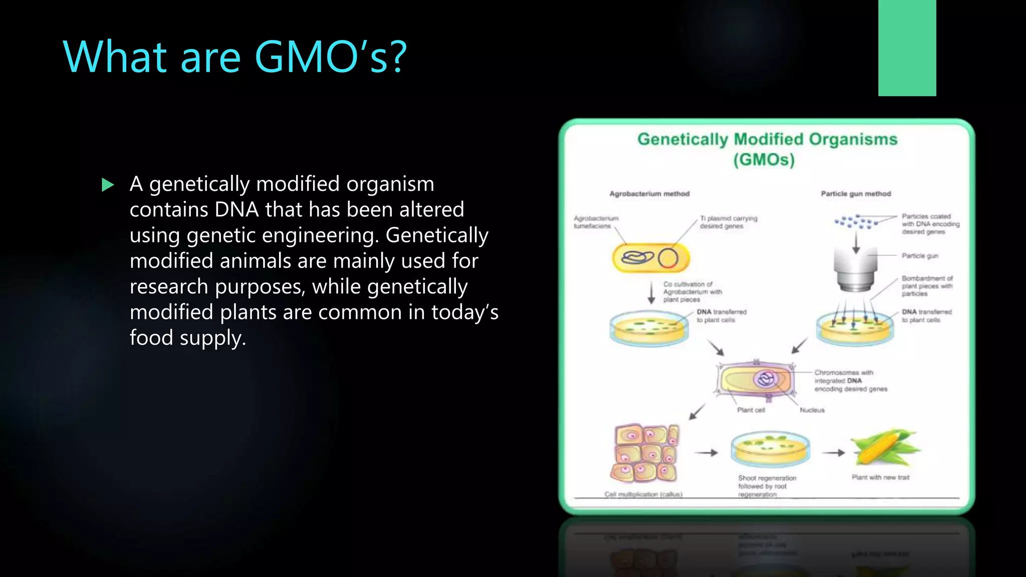 genetically modified organisms (related to IPR) by Tahura Mariyam | PPTX