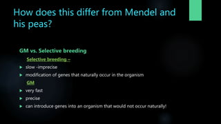 genetically modified organisms (related to IPR) by Tahura Mariyam | PPTX