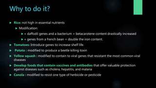 genetically modified organisms (related to IPR) by Tahura Mariyam | PPTX