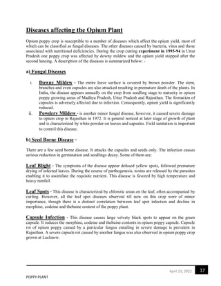 Major Project (B. Pharm) OPIUM POPPY PROJECT.pdf