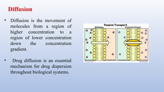 major project controlled release drug designing.pptx