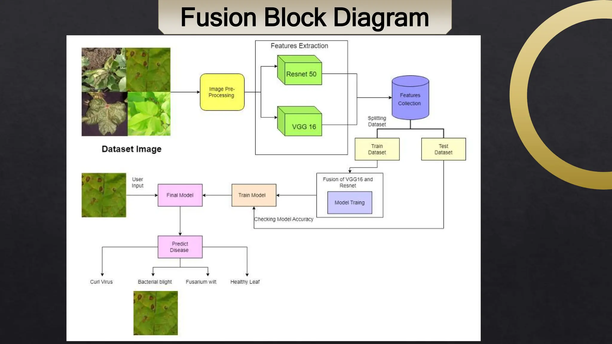 Plant Disease Prediction using CNN | PPTX