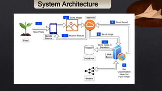 Plant Disease Prediction using CNN | PPTX