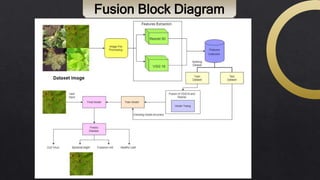 Plant Disease Prediction using CNN | PPTX