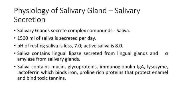 Major Salivary Glands - Types and Variants | PPT