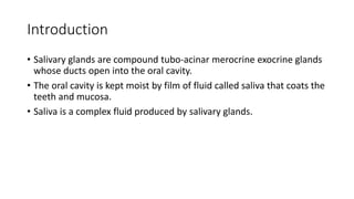 Major Salivary Glands - Types and Variants | PPT