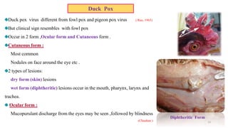 Health care management in Ducks | PPTX