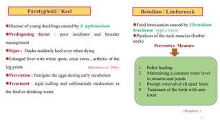 Health care management in Ducks | PPTX