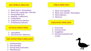 Health care management in Ducks | PPTX