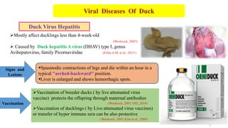 Health care management in Ducks | PPTX