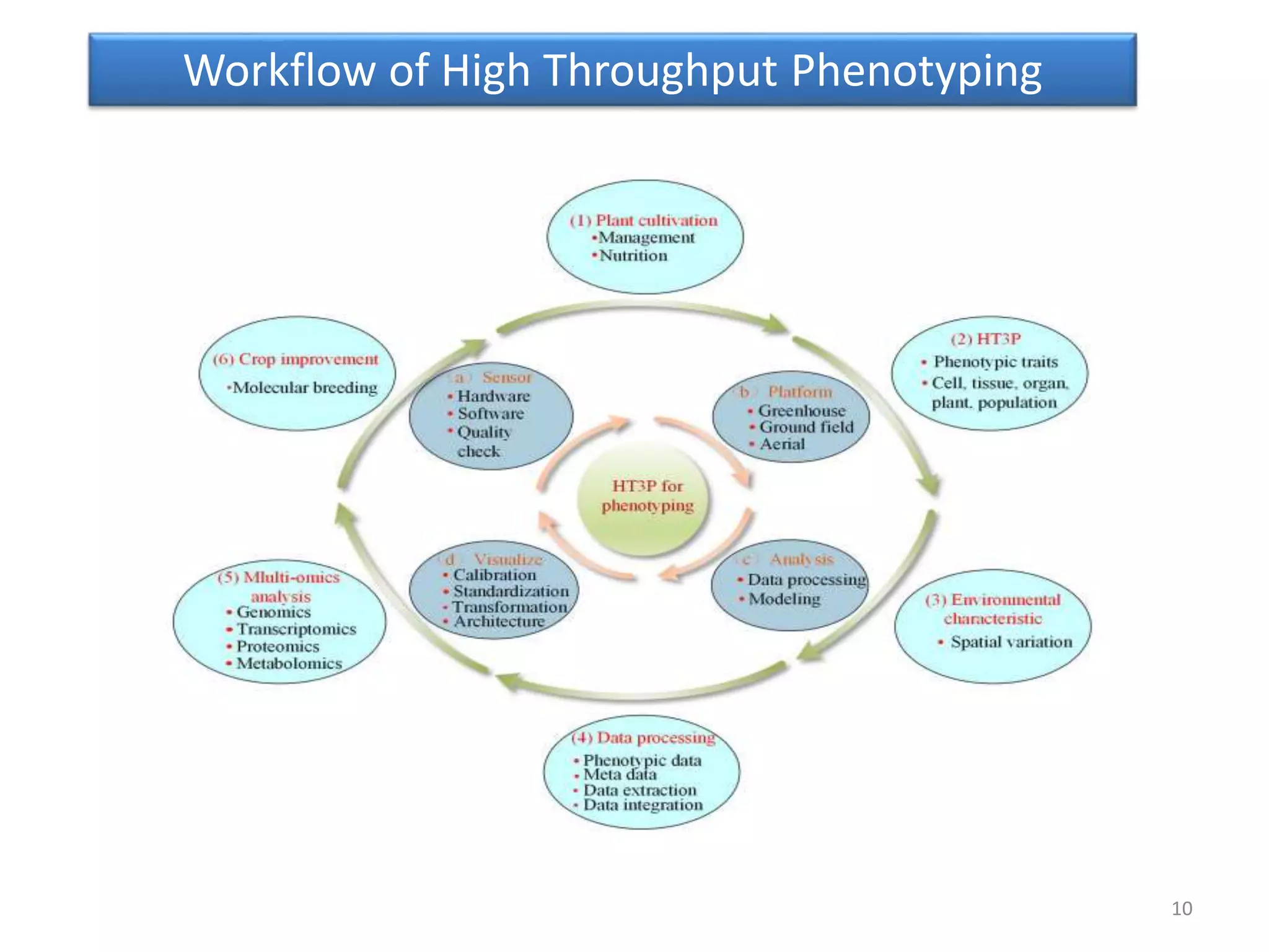 High Throughput Plant Phenotyping in Crop Improvement | PPTX