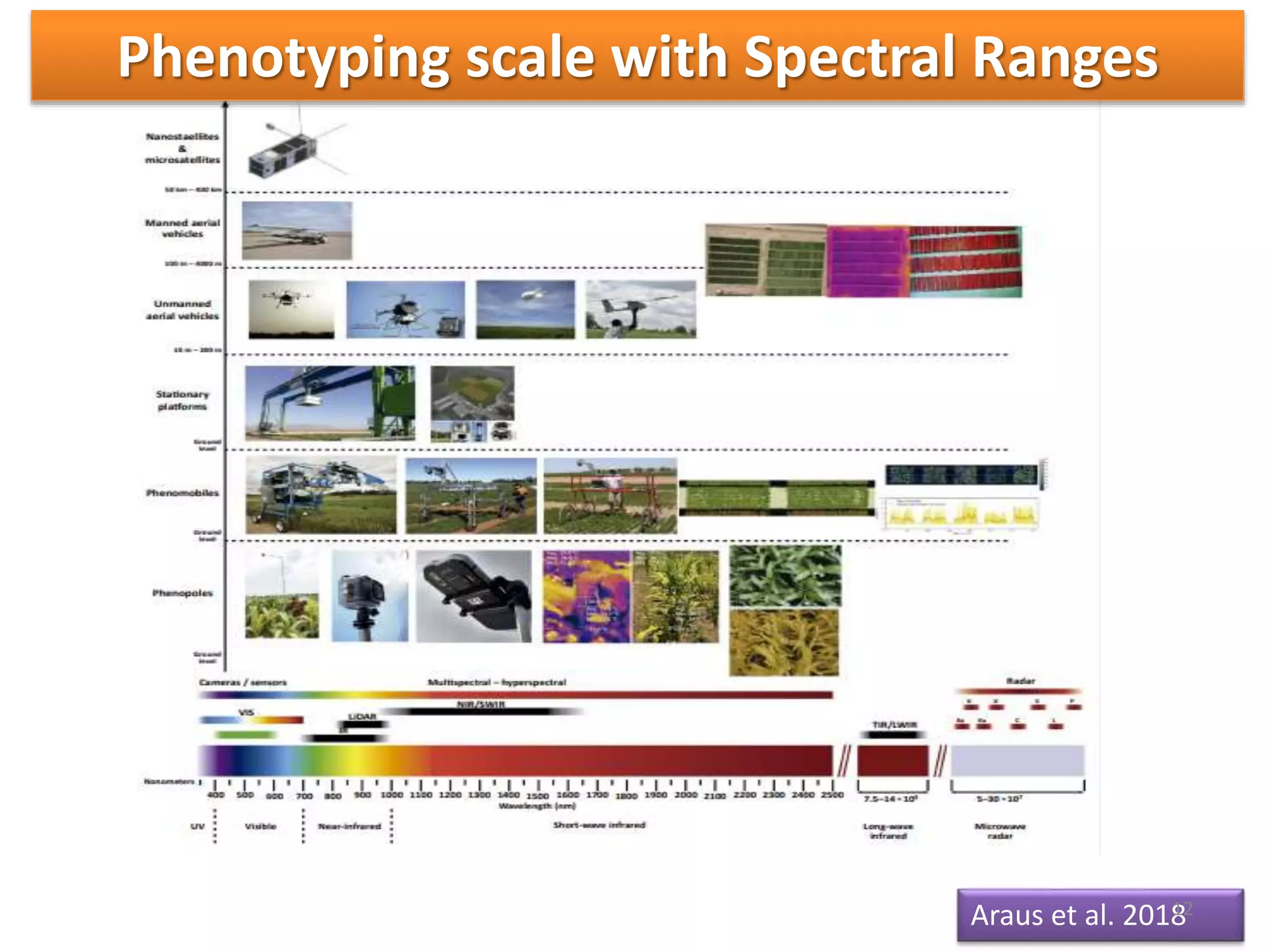 High Throughput Plant Phenotyping in Crop Improvement | PPTX