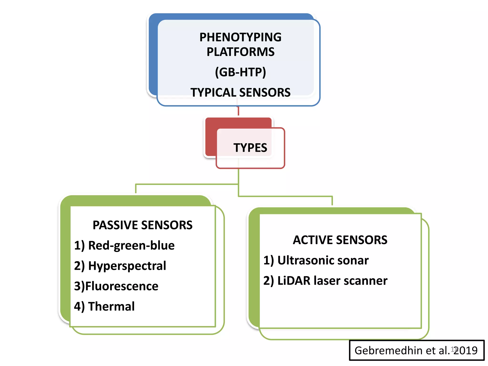High Throughput Plant Phenotyping in Crop Improvement | PPTX