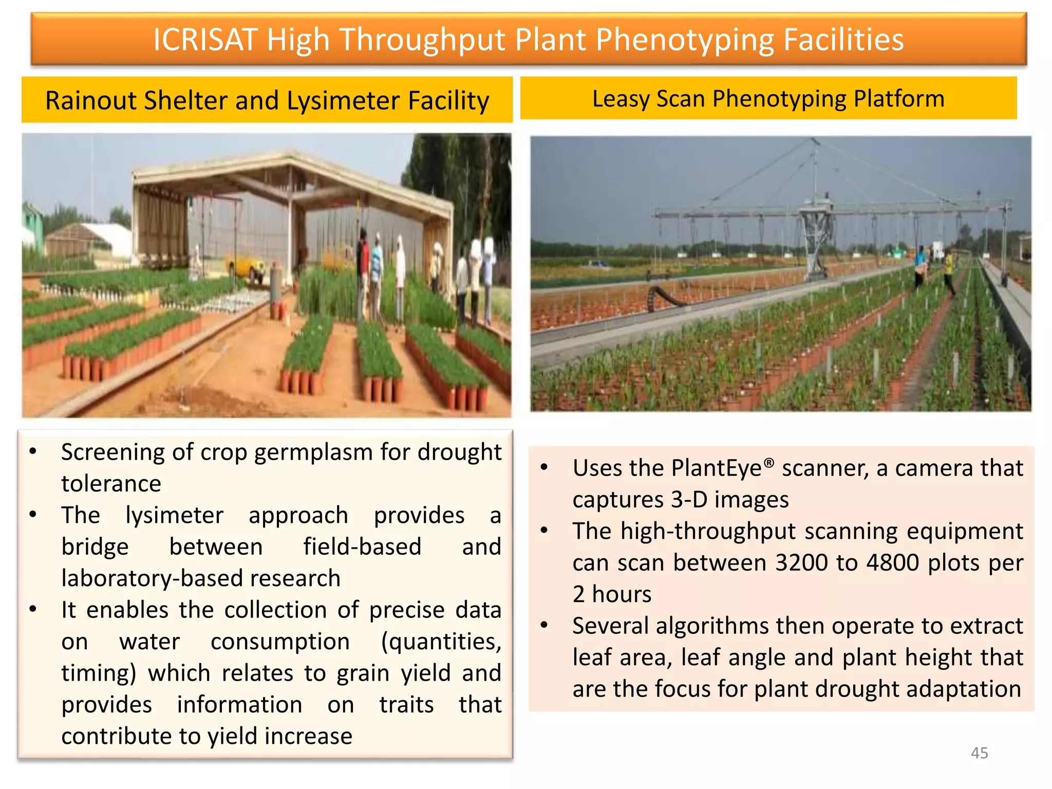 High Throughput Plant Phenotyping in Crop Improvement | PPTX