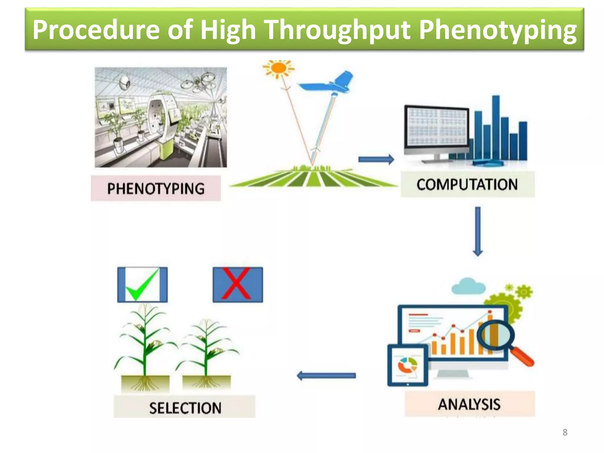High Throughput Plant Phenotyping In Crop Improvement Pptx Agriculture Industries