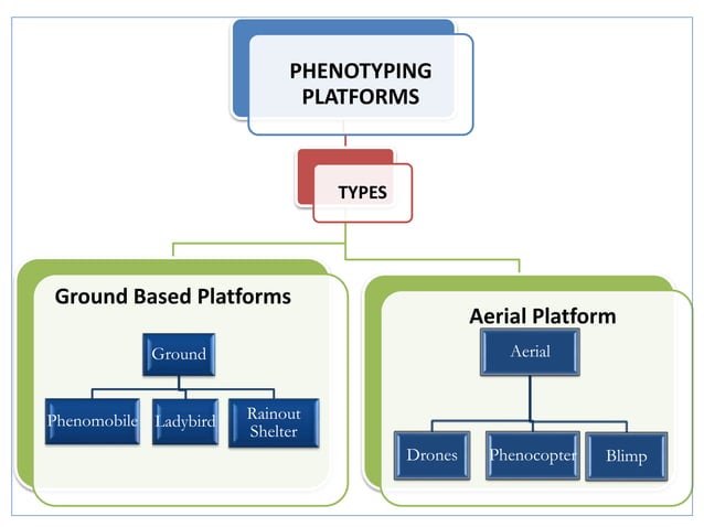 High Throughput Plant Phenotyping in Crop Improvement | PPTX ...