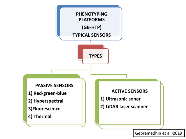 High Throughput Plant Phenotyping in Crop Improvement | PPTX ...