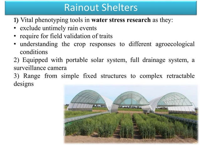 High Throughput Plant Phenotyping in Crop Improvement | PPTX | Agriculture | Industries
