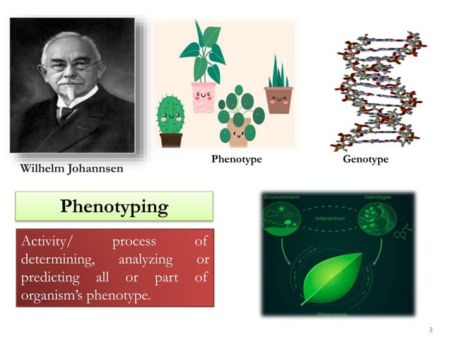 High Throughput Plant Phenotyping in Crop Improvement | PPTX ...