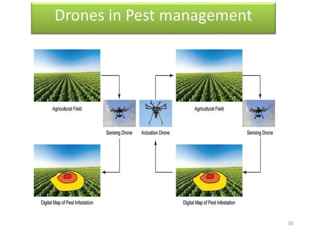 High Throughput Plant Phenotyping in Crop Improvement | PPTX | Agriculture | Industries