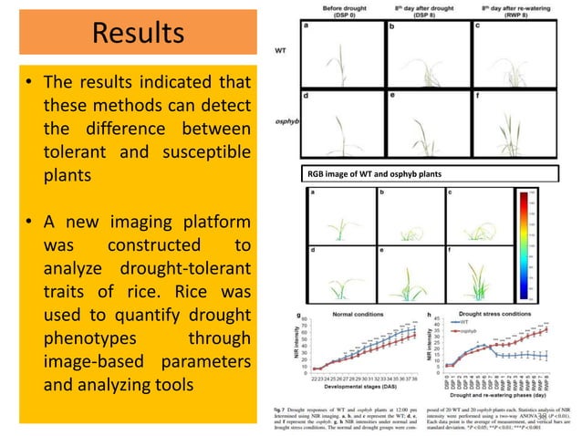 High Throughput Plant Phenotyping in Crop Improvement | PPTX ...