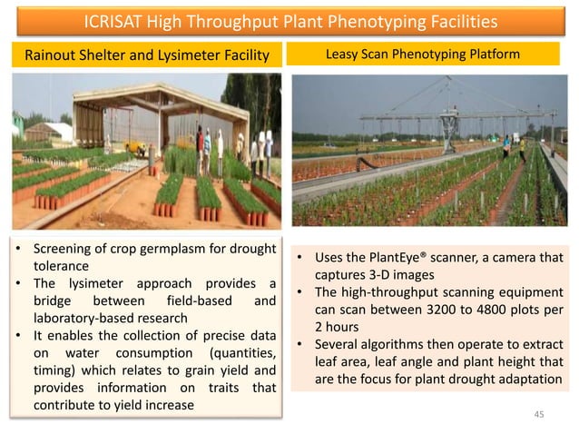 High Throughput Plant Phenotyping in Crop Improvement | PPTX | Agriculture | Industries