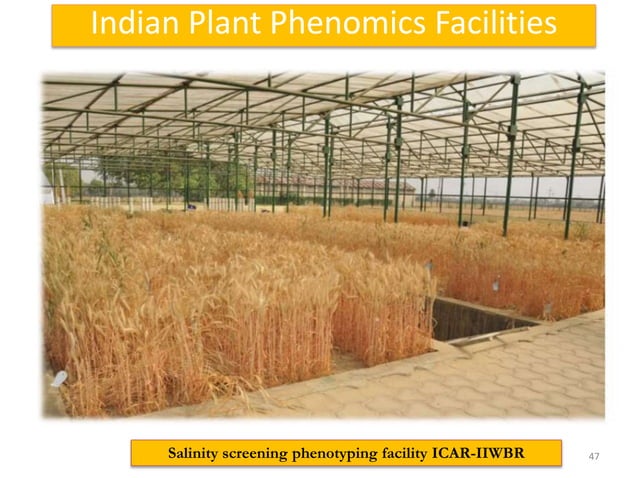 High Throughput Plant Phenotyping in Crop Improvement | PPTX | Agriculture | Industries