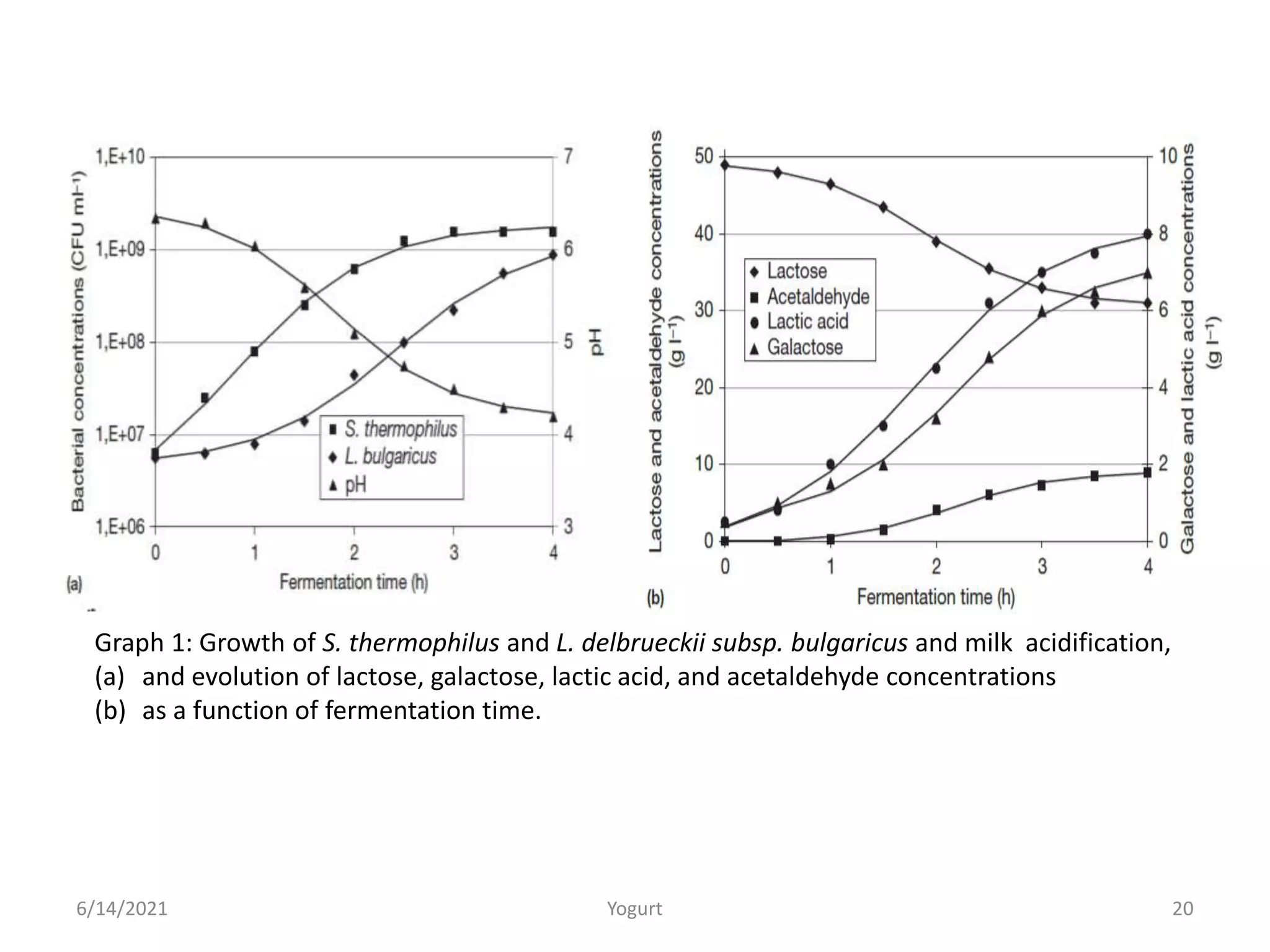 Fermentation Process in Yogurt Industry | PPTX