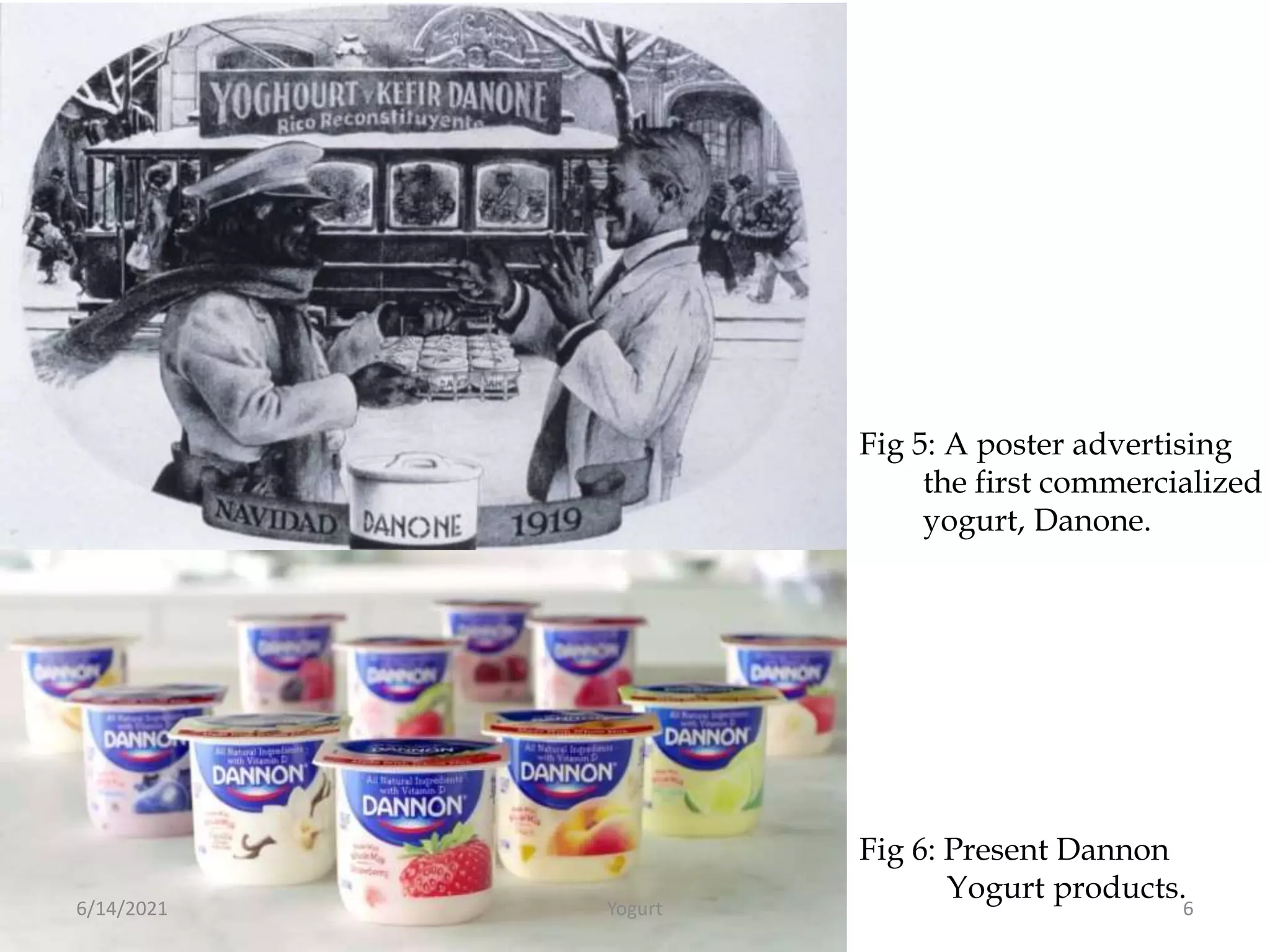 Fermentation Process in Yogurt Industry | PPTX
