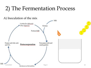 Fermentation Process in Yogurt Industry | PPTX