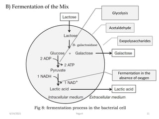 Fermentation Process in Yogurt Industry | PPTX