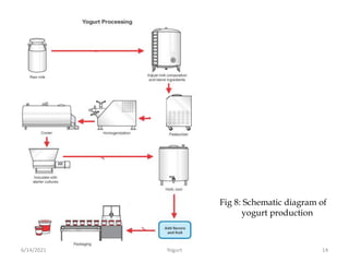 Fermentation Process in Yogurt Industry | PPTX